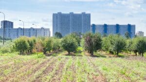 Quanto Costa Urbanizzare un Terreno? Prezzi e Normativa Vigente